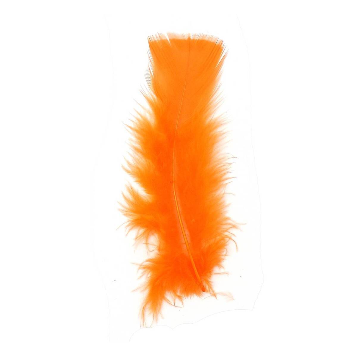 Orange Craft Feathers 5g | Hobbycraft