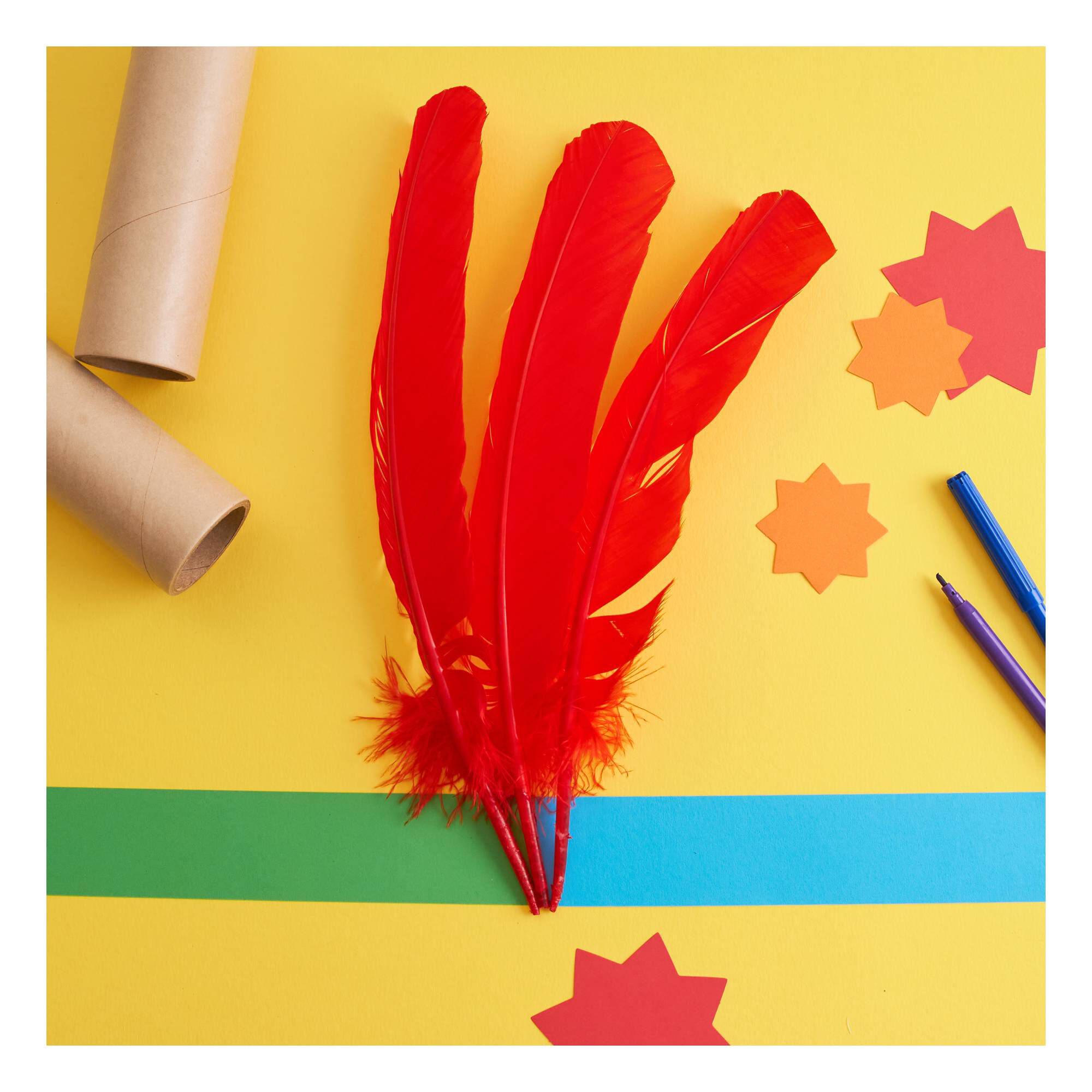 Red Feathers 7 Pack | Hobbycraft