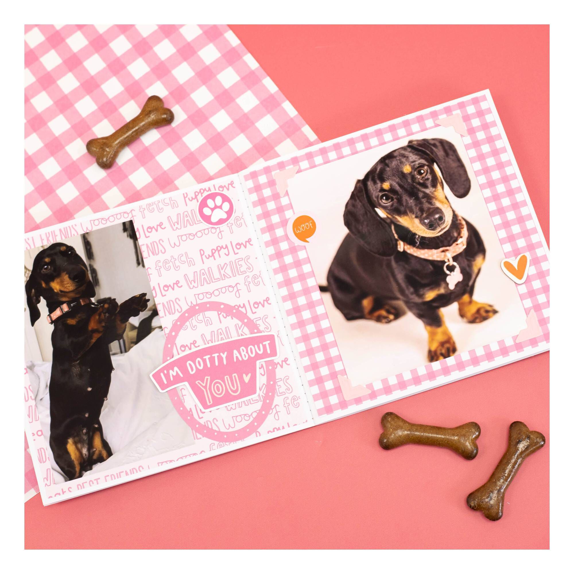 Violet Studio Best in Show Chipboard Stickers 27 Pack | Hobbycraft