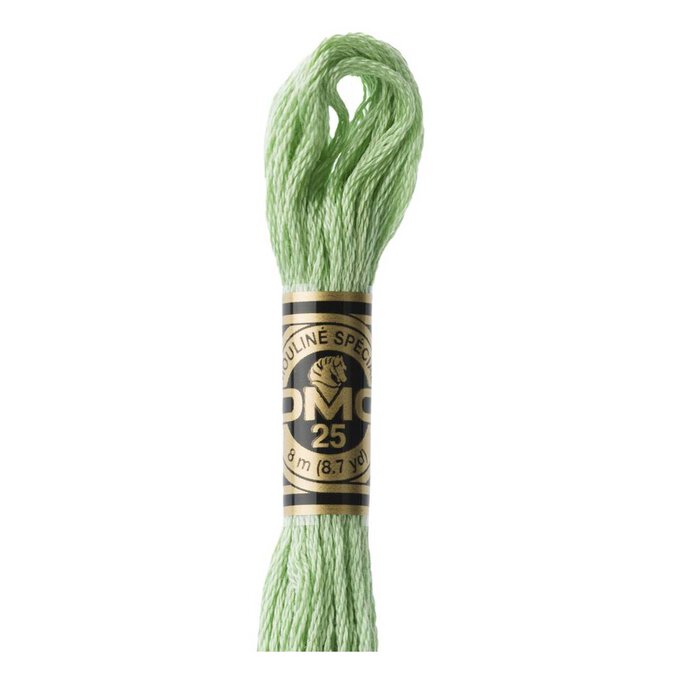 DMC Green Mouline Special 25 Cotton Thread 8m (164) | Hobbycraft