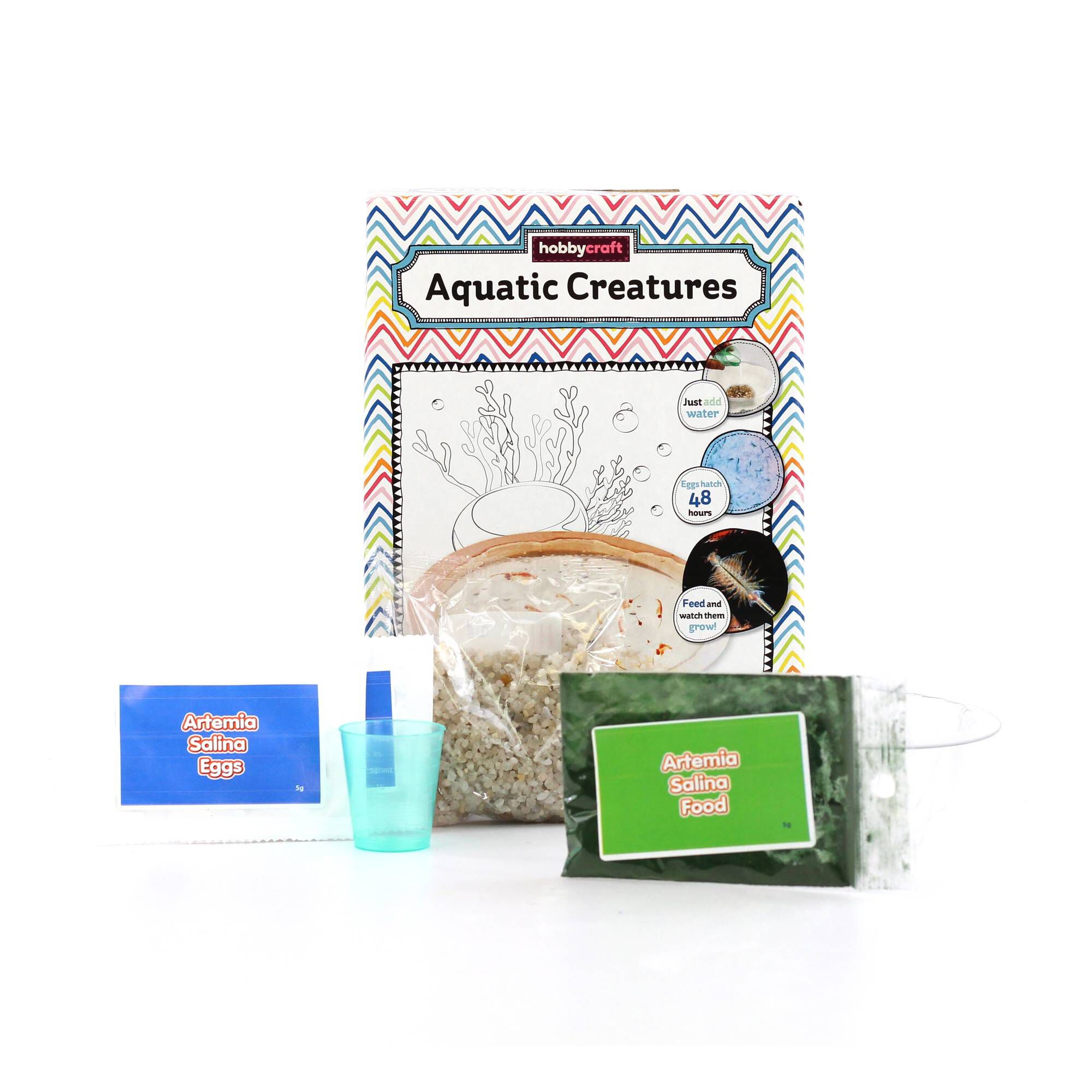 Aquatic Creatures Kit | Hobbycraft