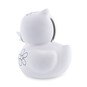 Paint Your Own Duck Money Box | Hobbycraft