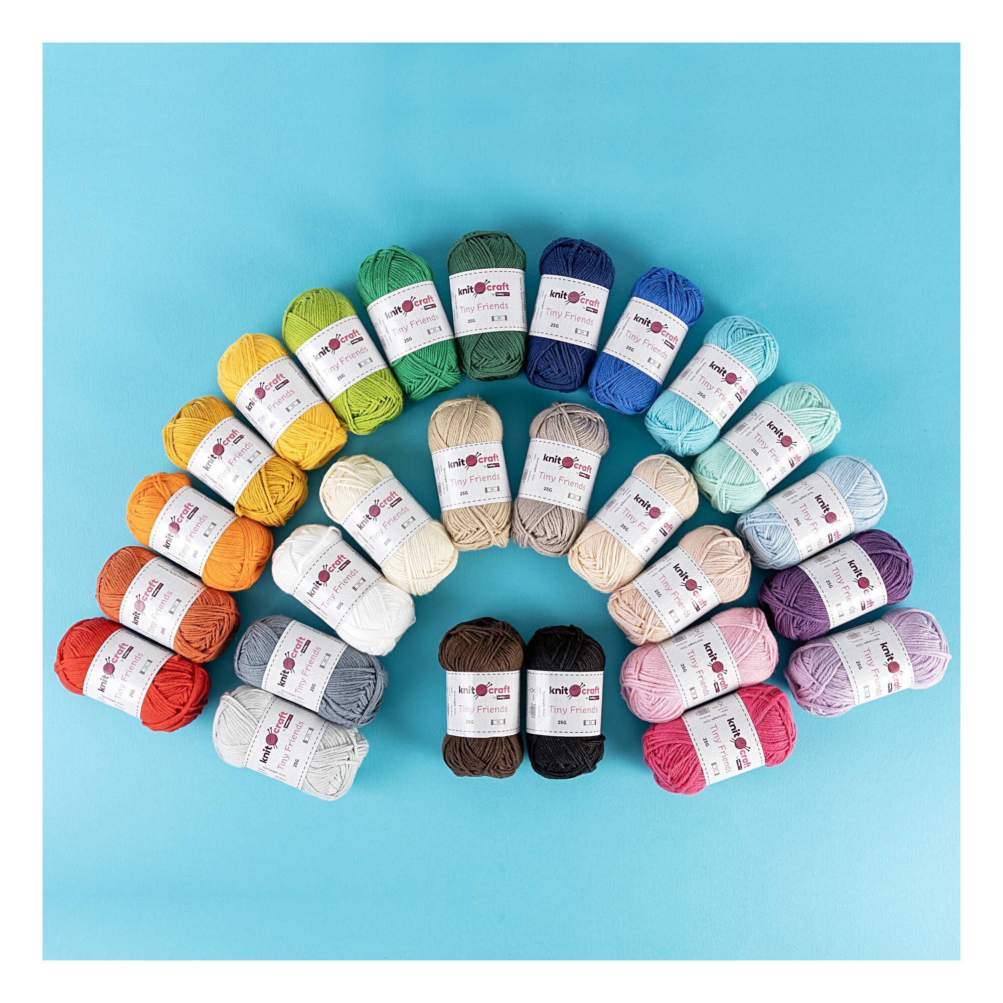 Knitcraft Turquoise Tiny Friends Yarn 25g | Hobbycraft
