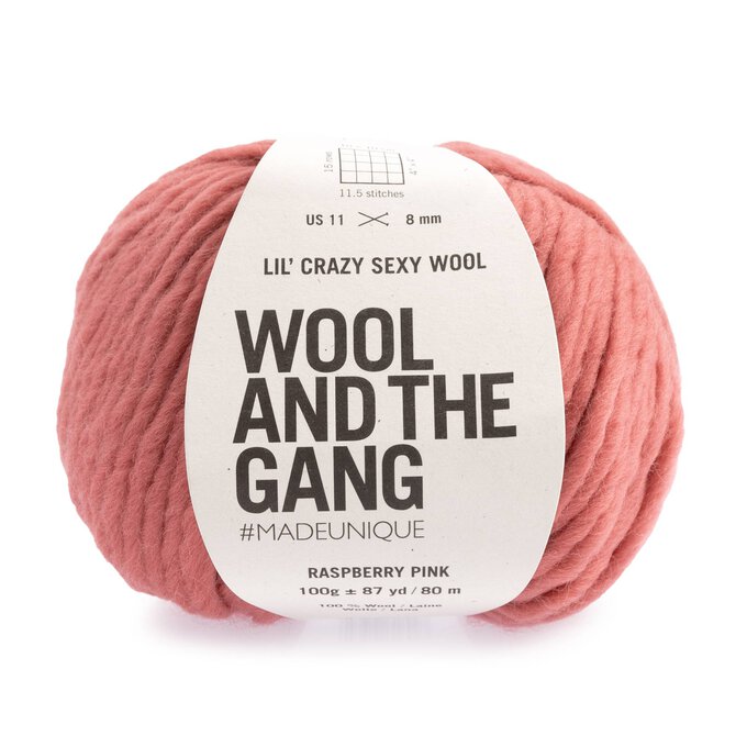 Wool and the Gang Raspberry Pink Lil’ Crazy Sexy Wool 100g | Hobbycraft