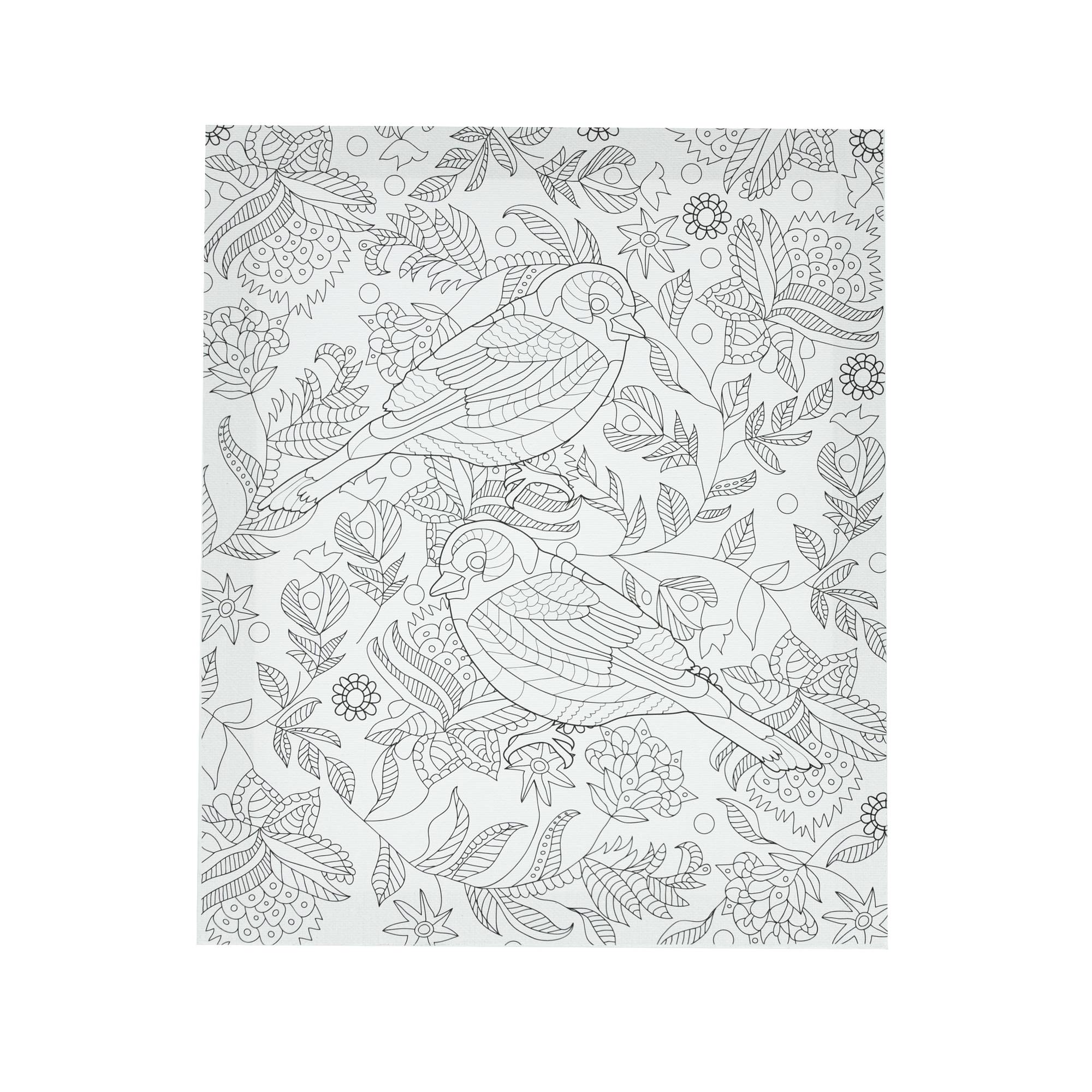 Birds Colour-In Canvas | Hobbycraft
