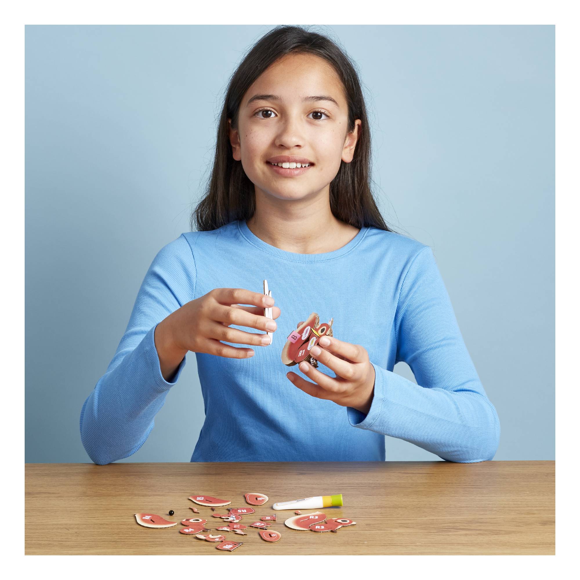 Eugy 3D Squirrel Model | Hobbycraft