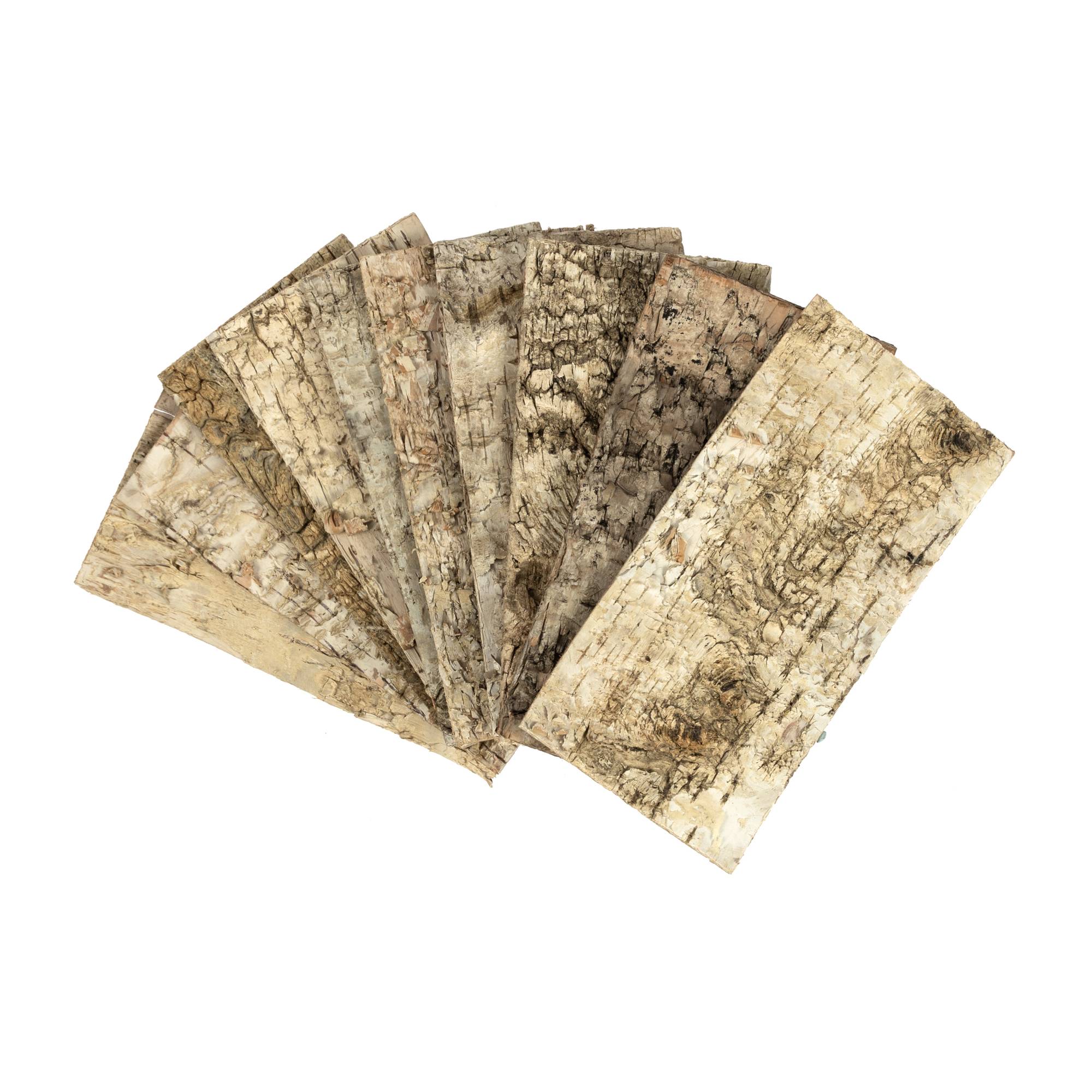 Birch Bark Bundle 10 Pack | Hobbycraft