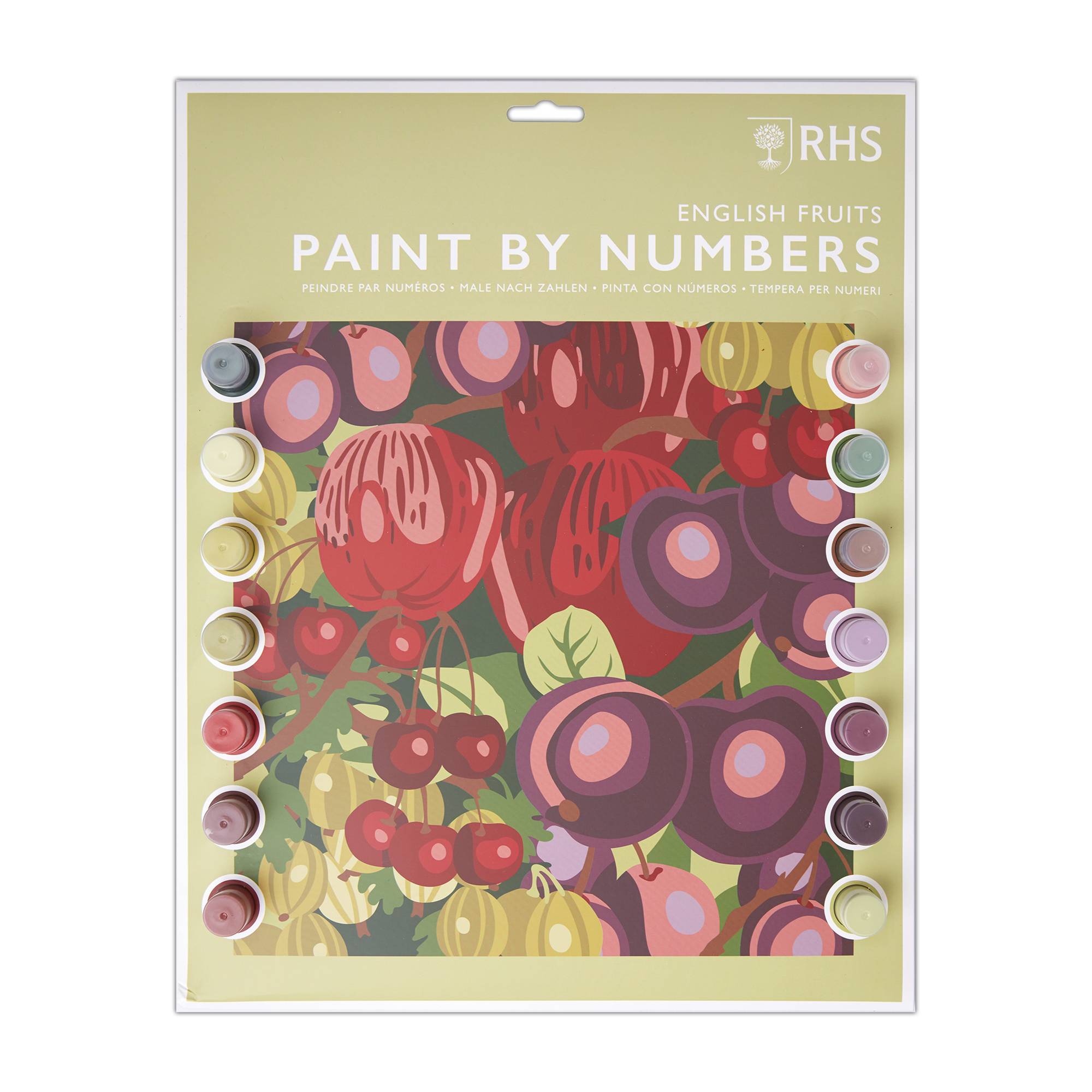 RHS English Fruits Paint by Numbers Kit | Hobbycraft