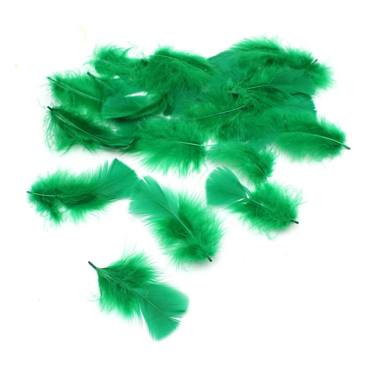 Emerald Craft Feathers 5g | Hobbycraft