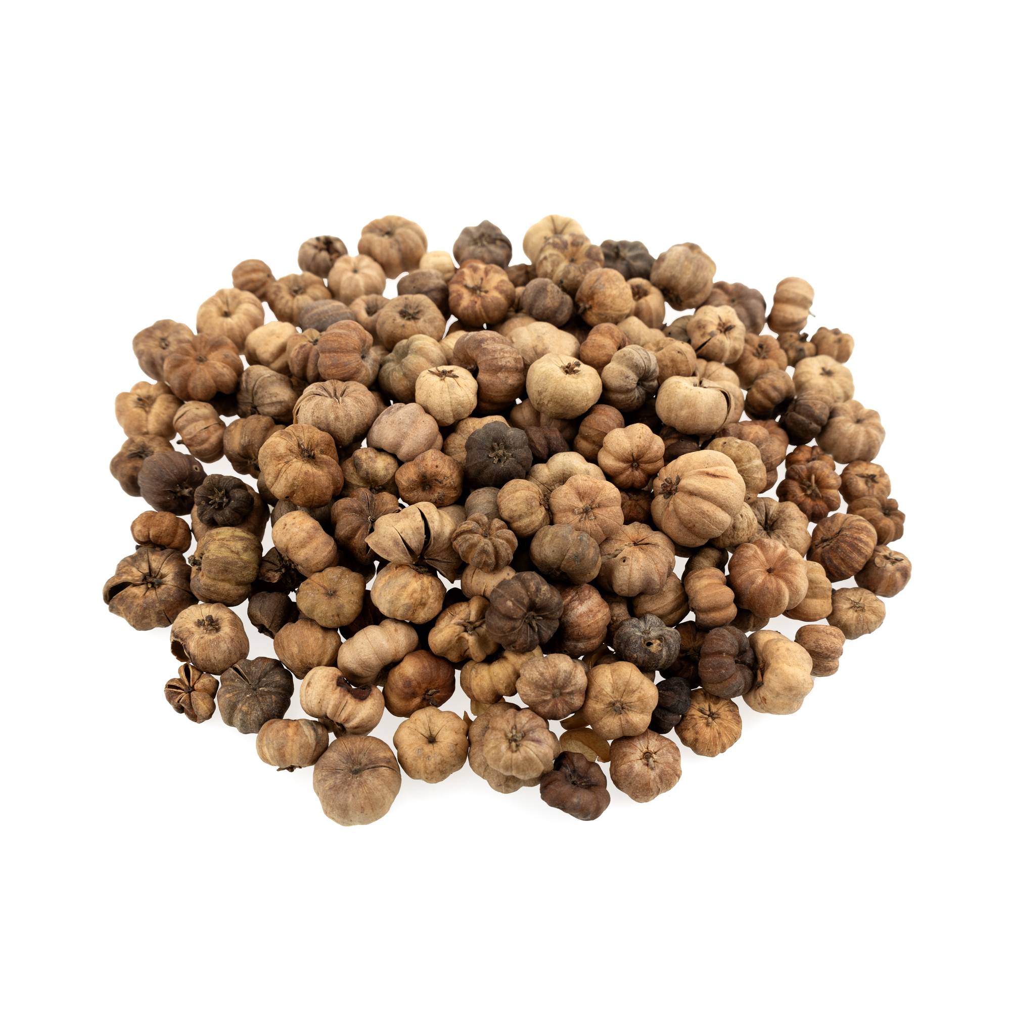 Putka Pods 40g | Hobbycraft