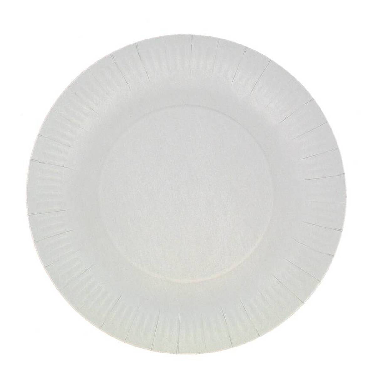 White Paper Plates 10 Pack | Hobbycraft