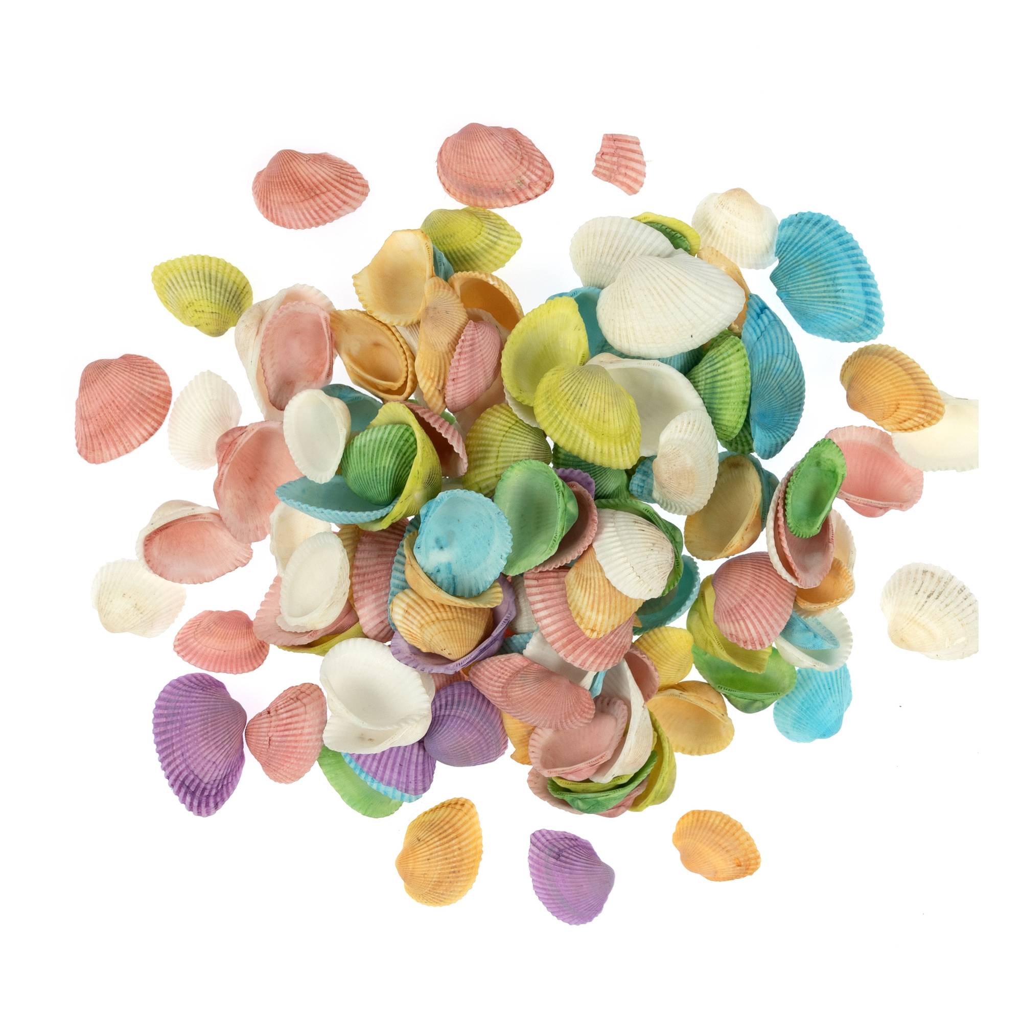 Mixed Bag of Pastel Shells 250g | Hobbycraft