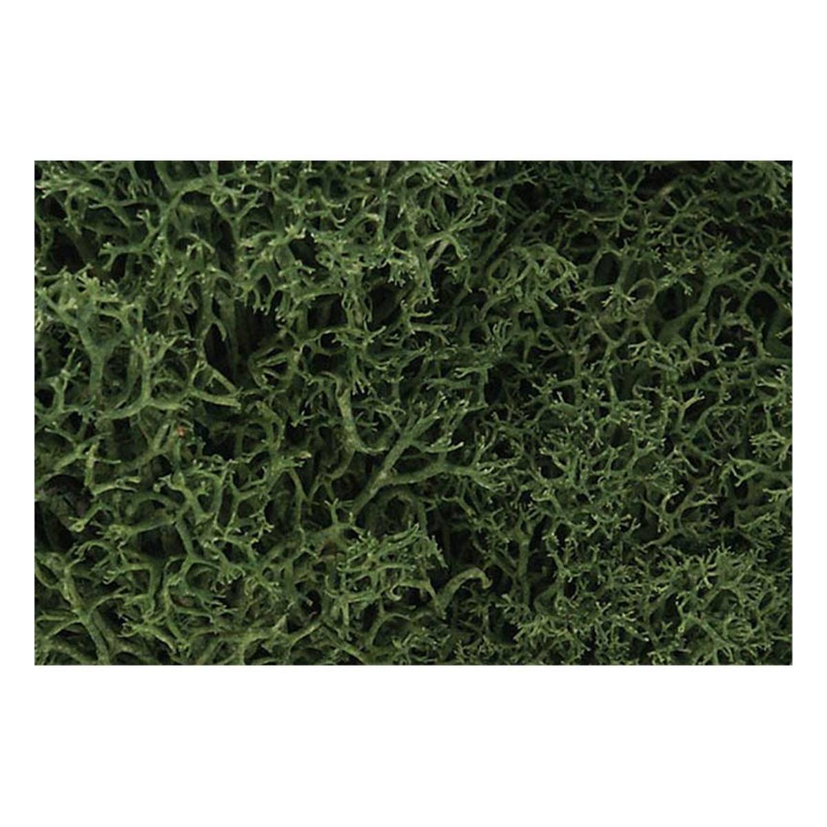 Woodland Scenics Lichen in Medium Green | Hobbycraft