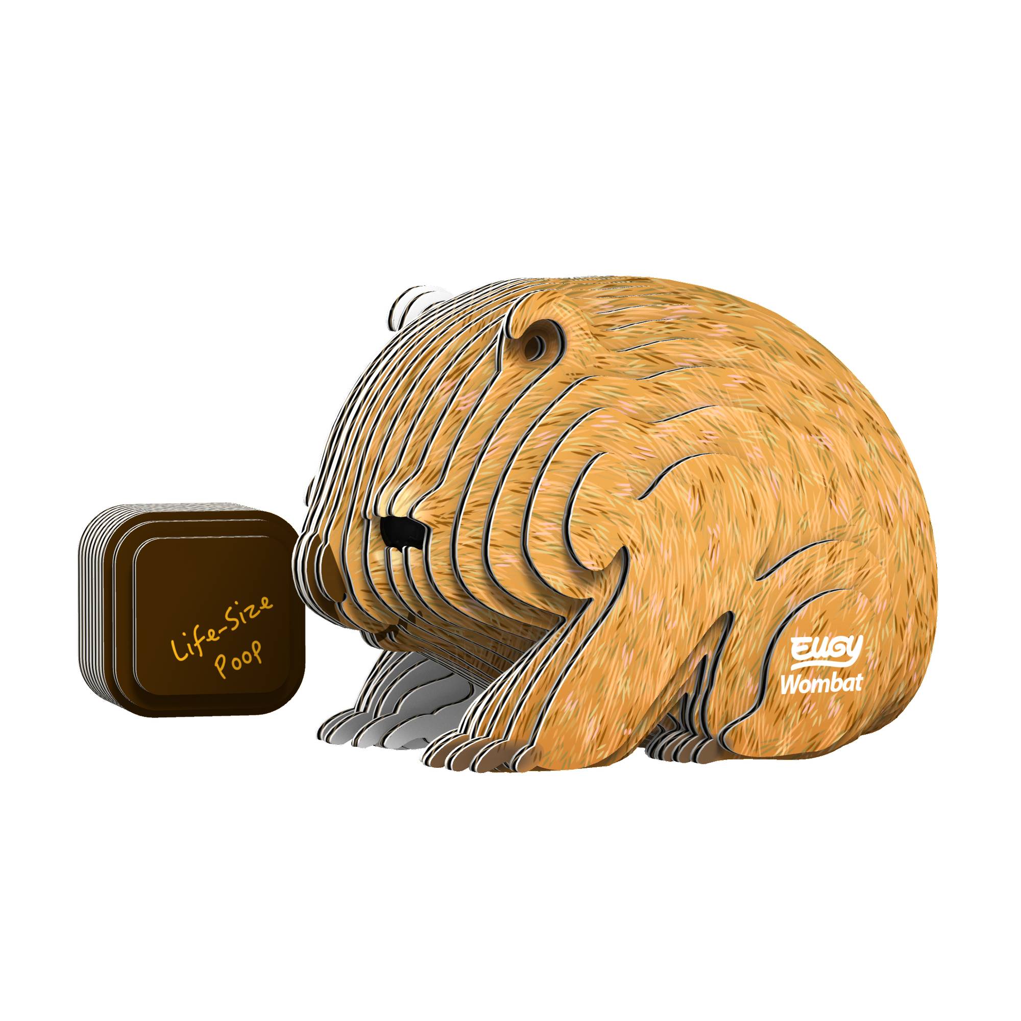 Eugy 3D Wombat Model | Hobbycraft