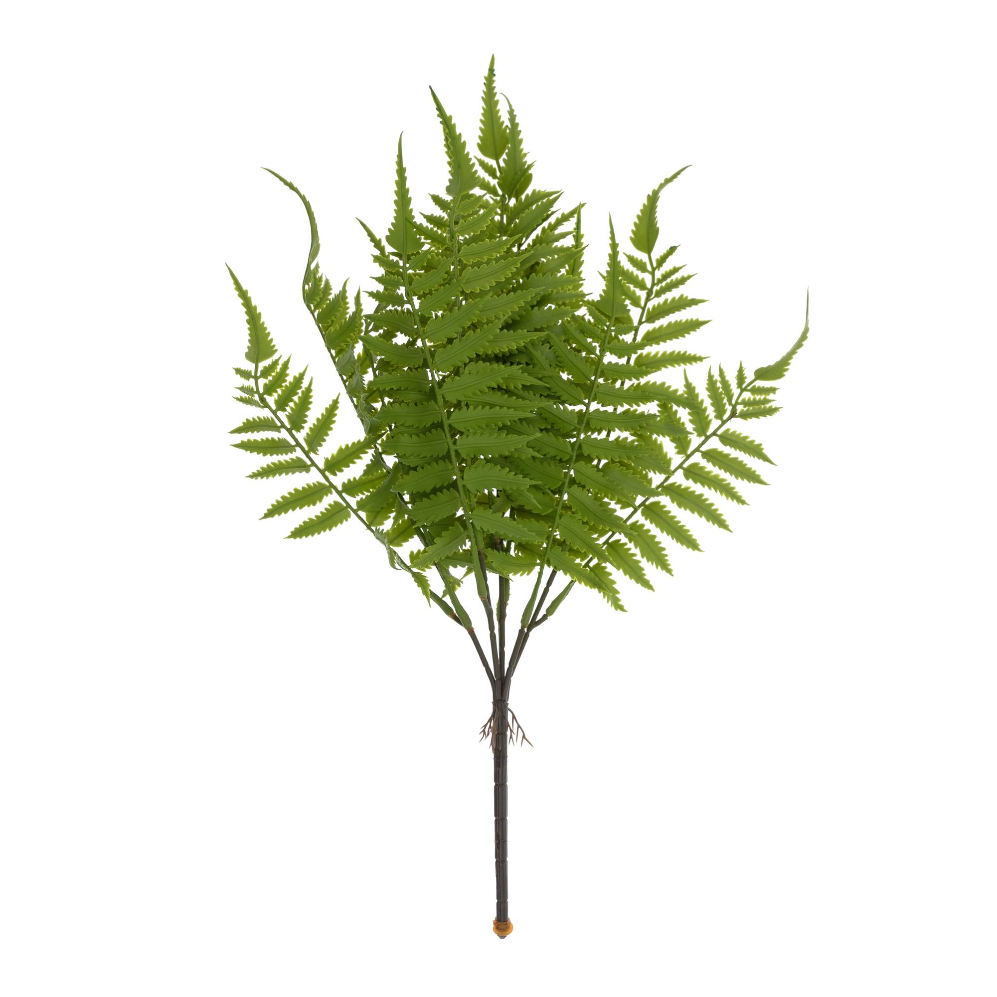 Green Sword Fern 43cm | Hobbycraft