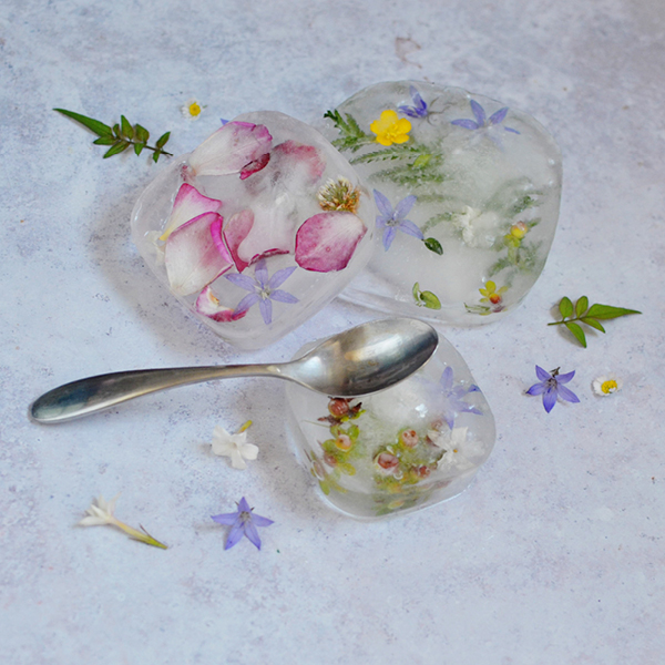 How to Make Botanical Ice Blocks | Hobbycraft