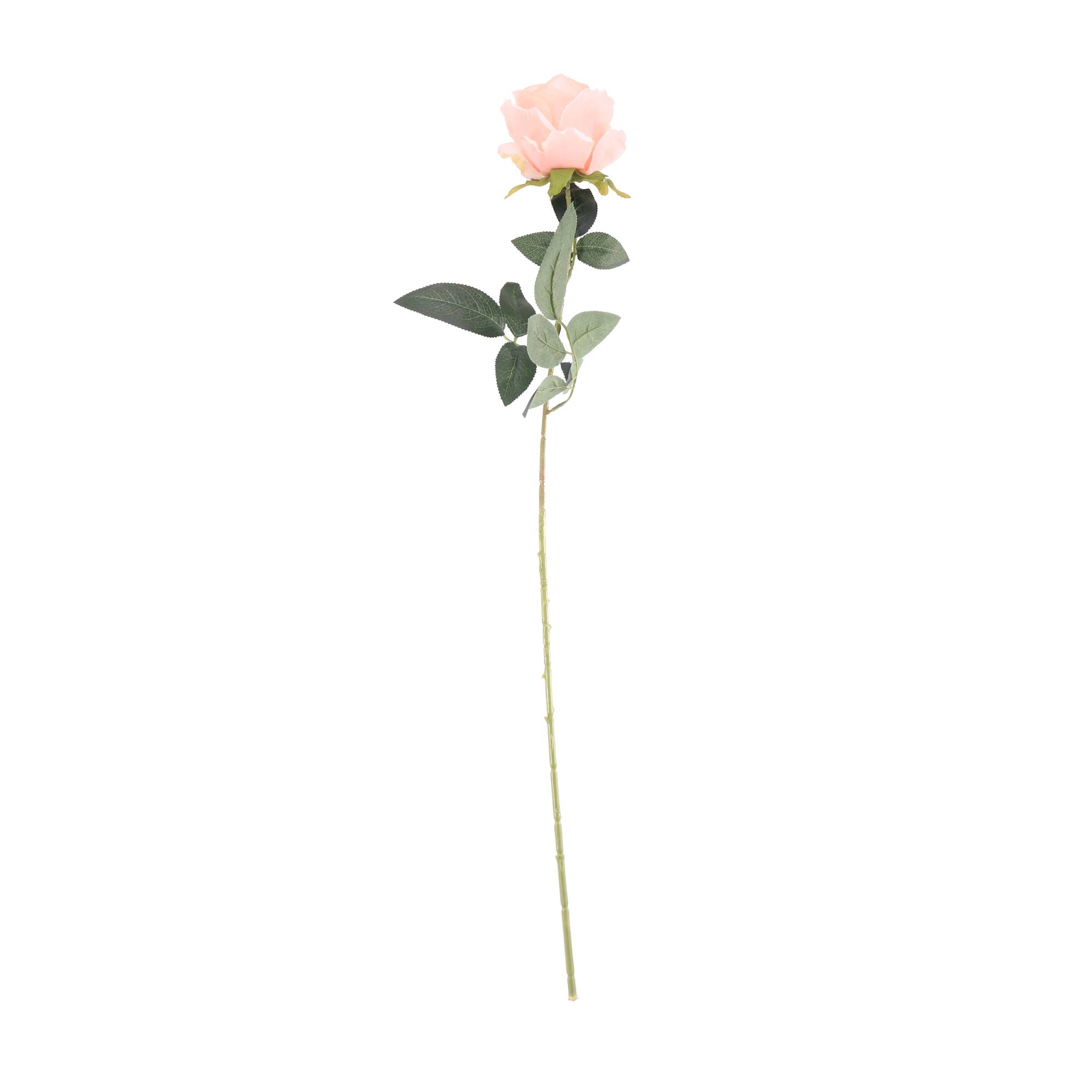 Peach Arundel Rose 70cm | Hobbycraft
