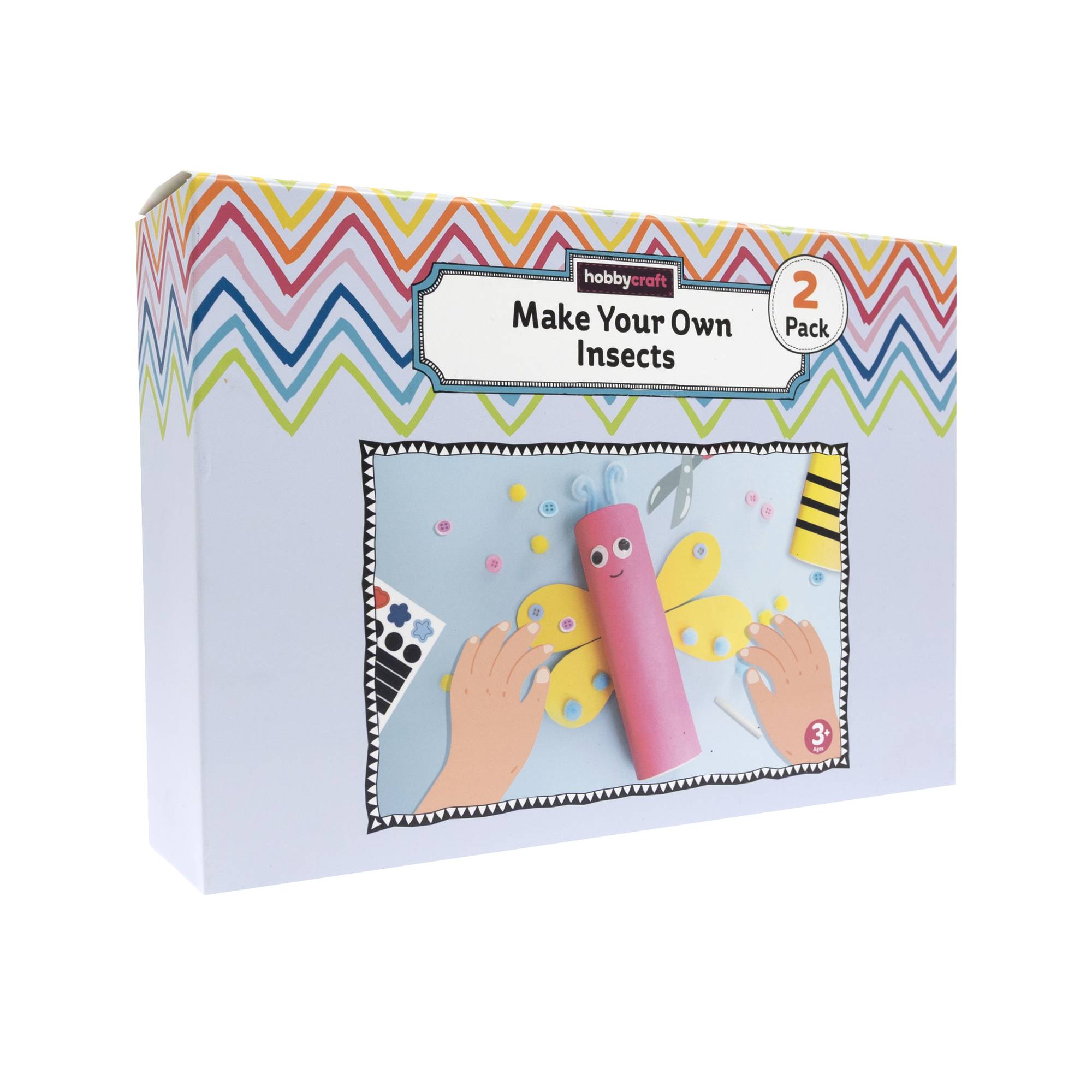 Make Your Own Insects Kit | Hobbycraft