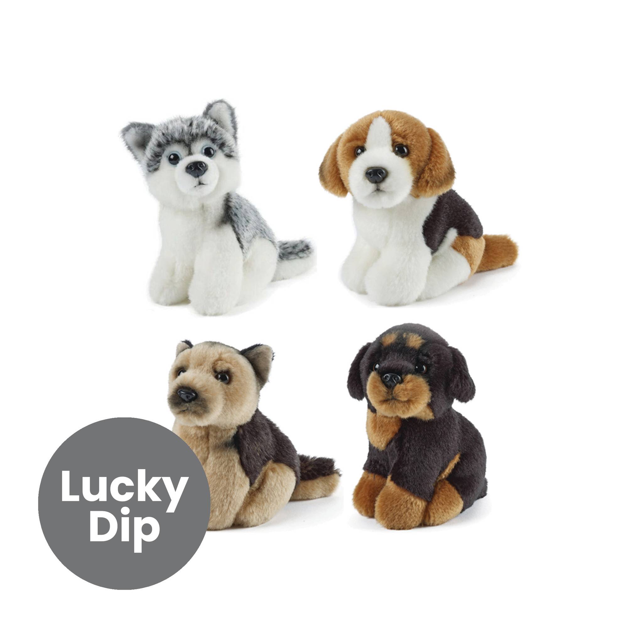 Assorted Miniature Dog Plush Toy | Hobbycraft