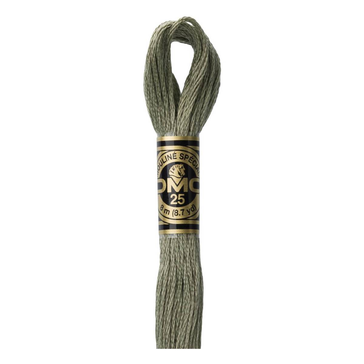 DMC Green Mouline Special 25 Cotton Thread 8m (3022) | Hobbycraft