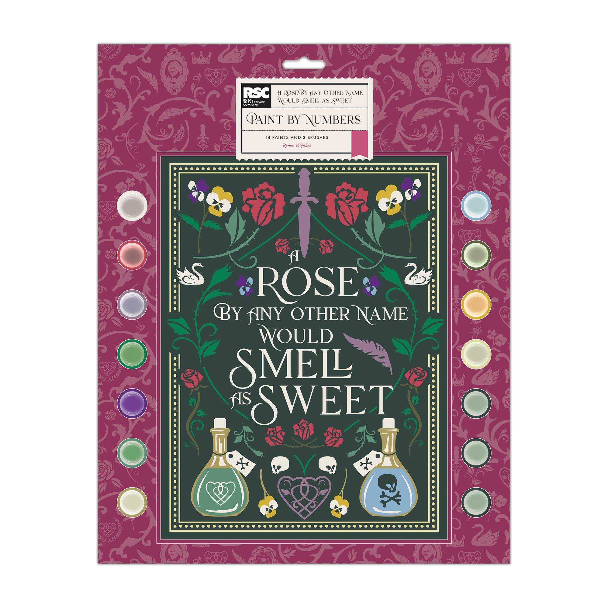 RSC Romeo and Juliet Paint by Numbers | Hobbycraft