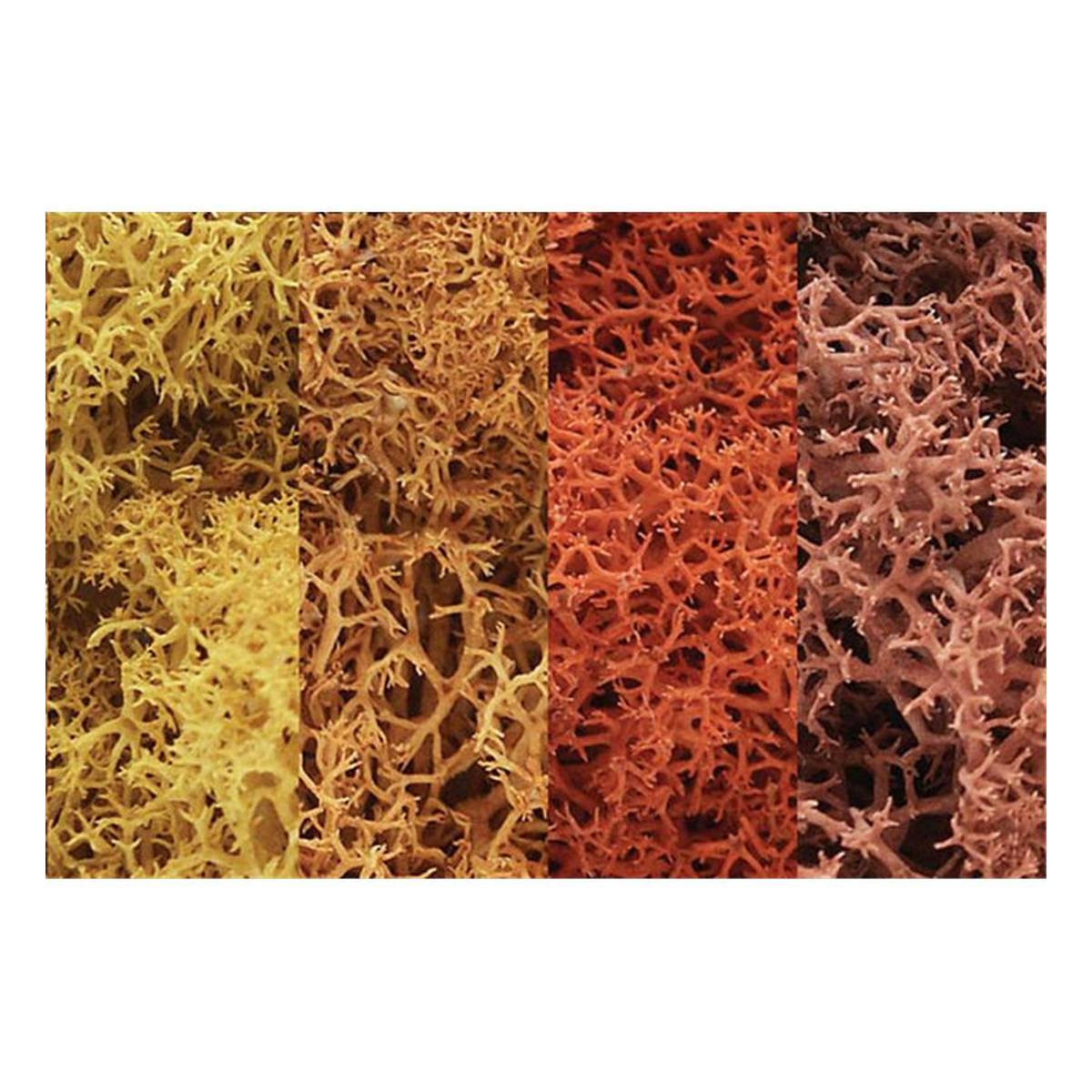 Woodland Scenics Lichen in Autumn Mix | Hobbycraft