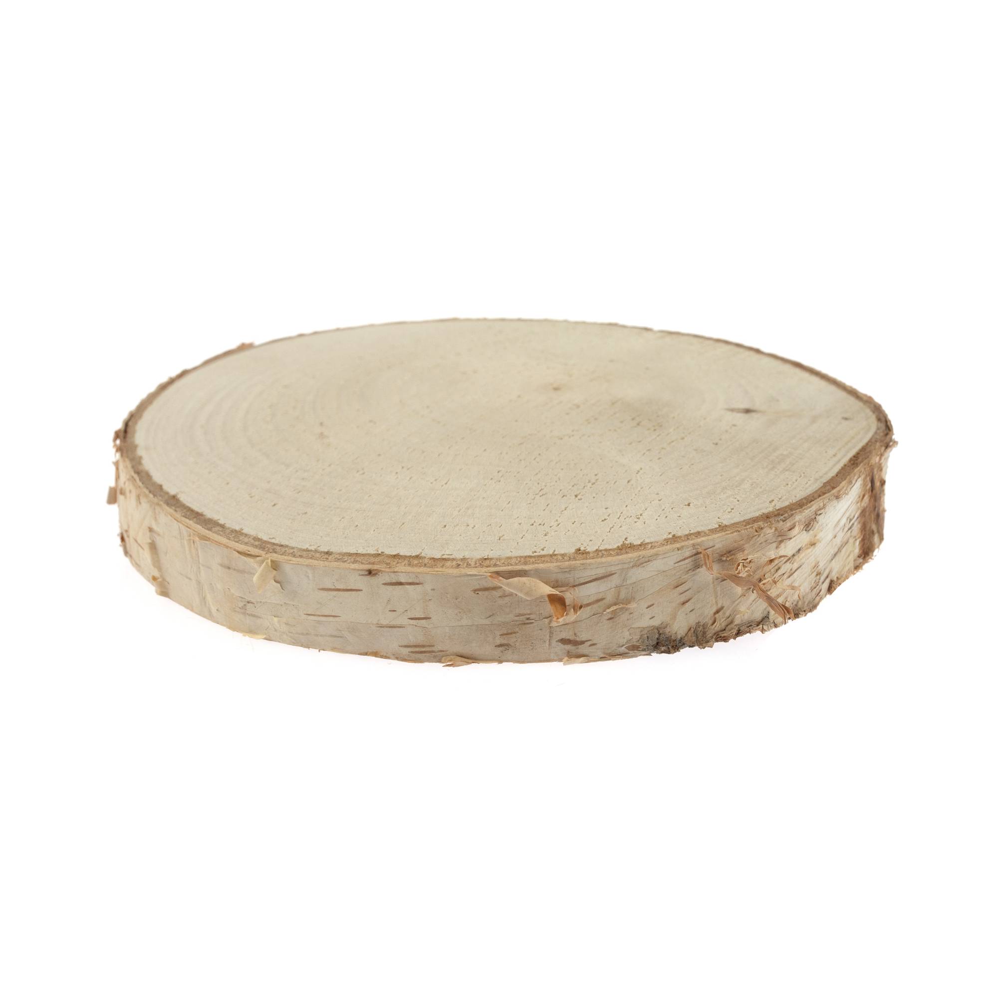 Birch Wooden Slice 15cm | Hobbycraft