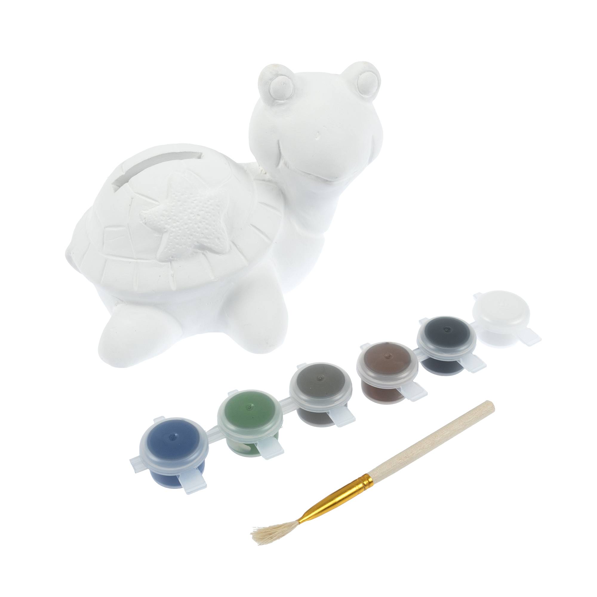Paint Your Own Turtle Money Box | Hobbycraft