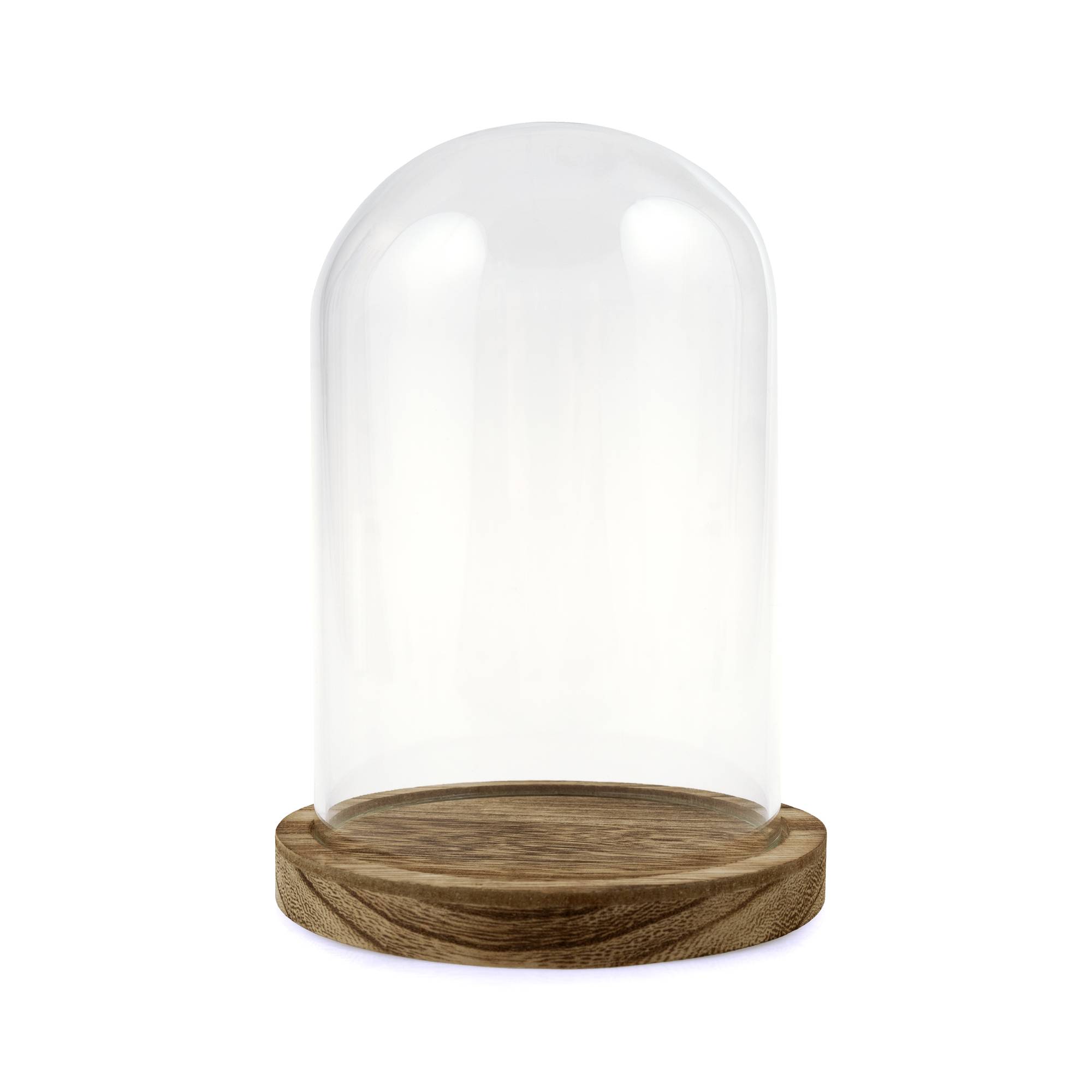 Glass Cloche with Wooden Base 12cm x 17cm | Hobbycraft