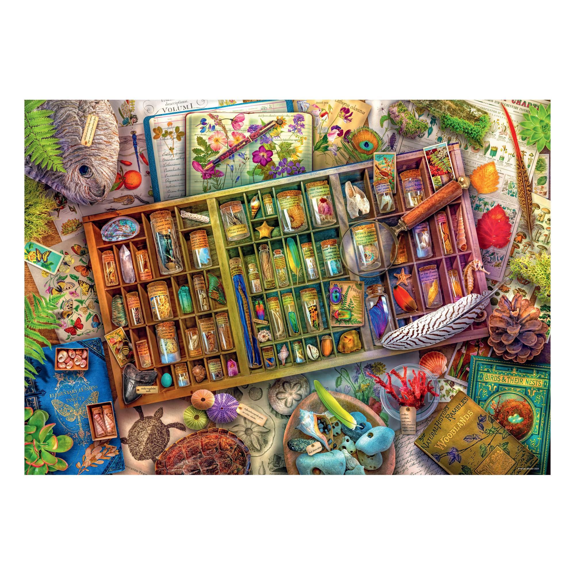 Ravensburger The Natural World Jigsaw Puzzle 1000 Pieces | Hobbycraft