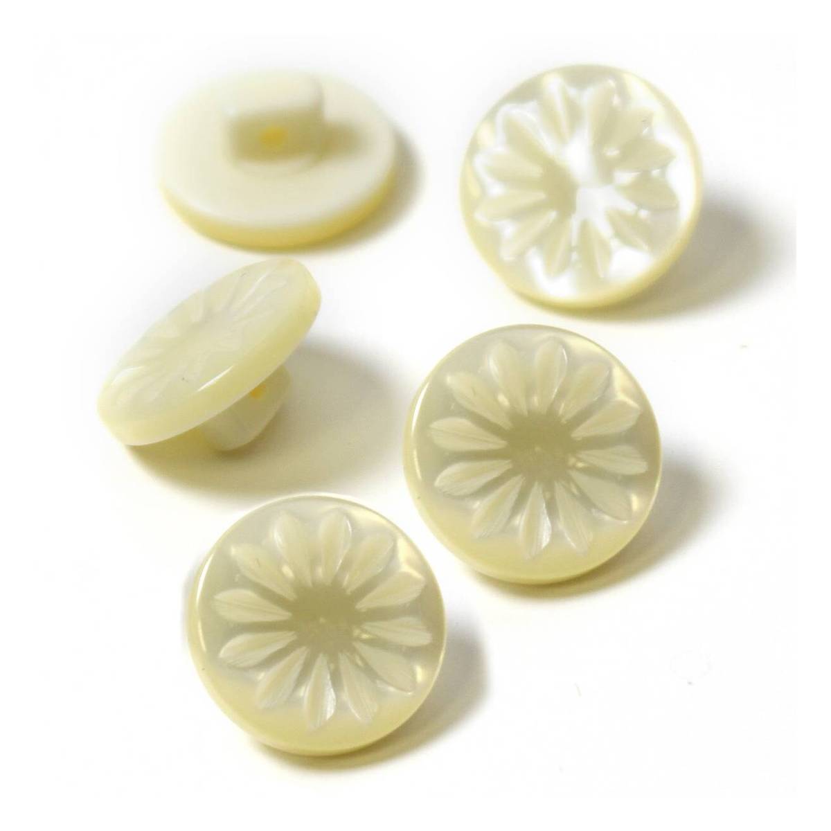 Hemline Cream Basic Cut Flower Button 5 Pack | Hobbycraft