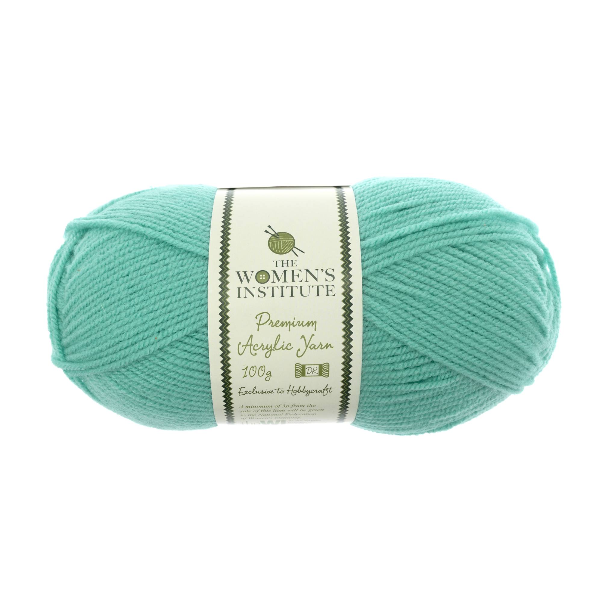 Women's Institute Aqua Premium Acrylic Yarn 100g | Hobbycraft