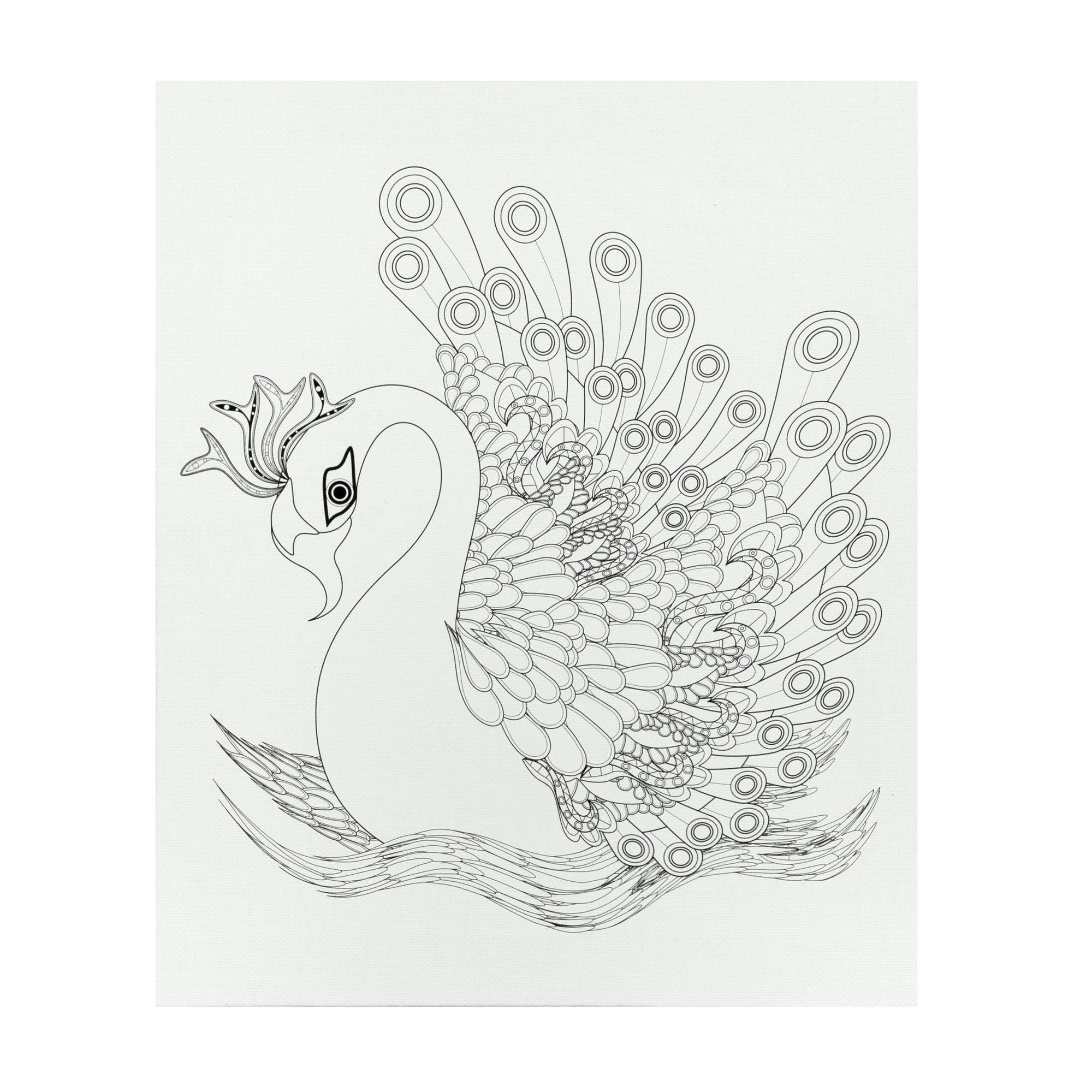 Swan Colour-in Canvas | Hobbycraft